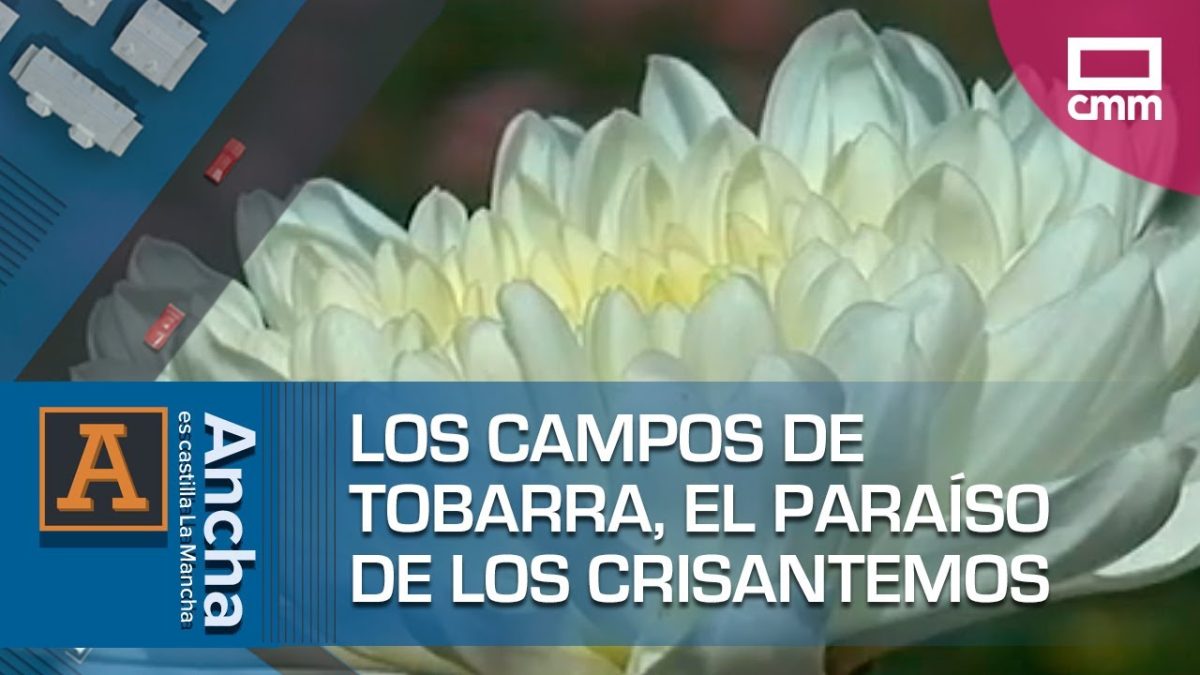 Descubre la fascinante historia y curiosidades de Tobarra: un viaje por ...