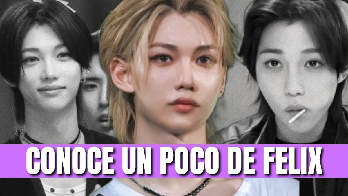 Descubre la fascinante historia y curiosidades de Felix: El gato más ...