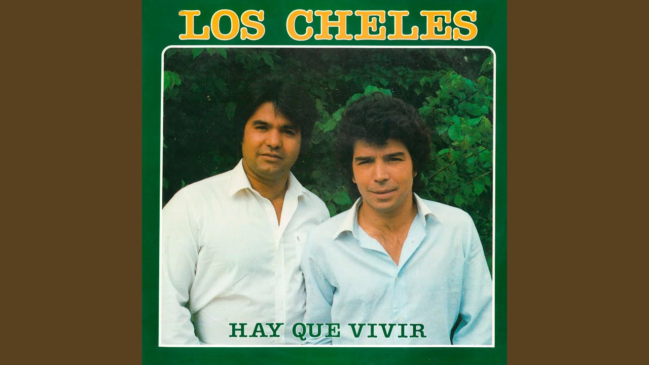 Descubre todo lo que necesitas saber para vivir en Cheles: costos ...